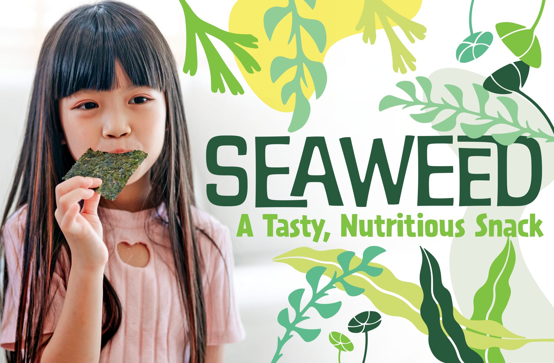Seaweed: A Tasty, Nutritious Snack - Kauai Family Magazine